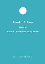 Insulin Action | SpringerLink