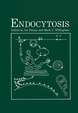 Endocytosis | Springer Nature Link
