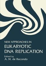 New Approaches in Eukaryotic DNA Replication | SpringerLink