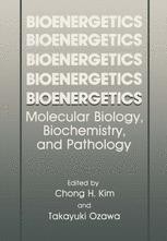 Bioenergetics: Molecular Biology, Biochemistry, and Pathology ...