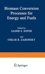 Biomass Conversion Processes for Energy and Fuels | Springer Nature Link (formerly SpringerLink)