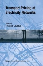 Transport Pricing of Electricity Networks | Springer Nature Link