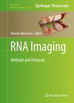 RNA Imaging: Methods and Protocols | SpringerLink