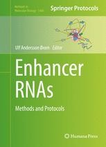 Enhancer RNAs: Methods and Protocols | SpringerLink