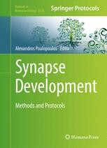 Synapse Development: Methods and Protocols | SpringerLink