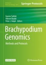 Brachypodium Genomics: Methods and Protocols | Springer Nature Link (formerly SpringerLink)