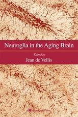 Neuroglia in the Aging Brain | SpringerLink