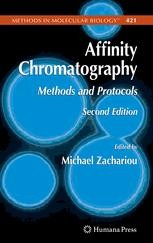 Affinity Chromatography: Methods and Protocols | SpringerLink
