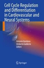 Cell Cycle Regulation and Differentiation in Cardiovascular and Neural ...