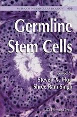 Germline Stem Cells | SpringerLink