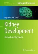 Kidney Development: Methods and Protocols | SpringerLink