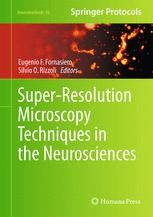 Super-Resolution Microscopy Techniques in the Neurosciences | SpringerLink