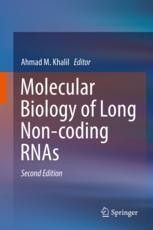 Molecular Biology of Long Non-coding RNAs | SpringerLink