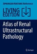 Atlas of Renal Ultrastructural Pathology | Springer Nature Link ...