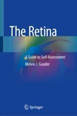 The Retina: A Guide to Self-Assessment | SpringerLink