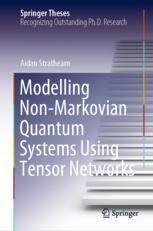 Modelling Non-Markovian Quantum Systems Using Tensor Networks | SpringerLink