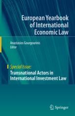 Transnational Actors in International Investment Law | SpringerLink