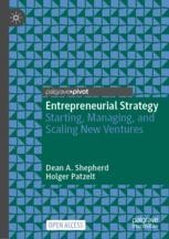 Entrepreneurial Strategy: Starting, Managing, and Scaling New Ventures ...