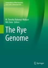 The Rye Genome | SpringerLink