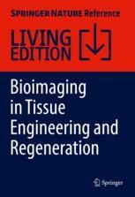 Bioimaging in Tissue Engineering and Regeneration: Advanced Microscopy and Preclinical Imaging ...