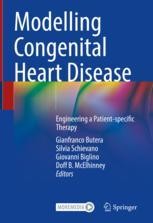 Modelling Congenital Heart Disease: Engineering a Patient-specific ...