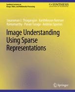 Image Understanding using Sparse Representations | SpringerLink