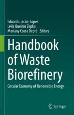 Handbook of Waste Biorefinery: Circular Economy of Renewable Energy | SpringerLink