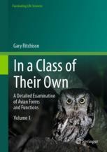 In a Class of Their Own: A Detailed Examination of Avian Forms and ...