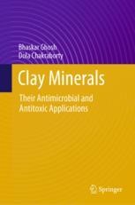 Clay Minerals: Their Antimicrobial and Antitoxic Applications ...
