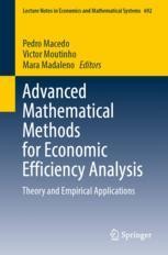 Advanced Mathematical Methods for Economic Efficiency Analysis: Theory ...