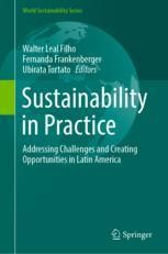 Sustainability in Practice: Addressing Challenges and Creating ...