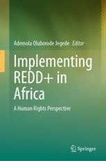Implementing REDD+ in Africa: A Human Rights Perspective | SpringerLink