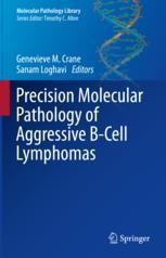 Precision Molecular Pathology of Aggressive B-Cell Lymphomas | SpringerLink