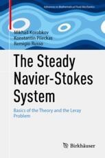 The Steady Navier-Stokes System: Basics of the Theory and the Leray ...