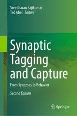 Synaptic Tagging and Capture: From Synapses to Behavior | Springer ...