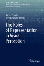 The Roles of Representation in Visual Perception | SpringerLink
