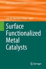 Surface Functionalized Metal Catalysts | Springer Nature Link (formerly SpringerLink)