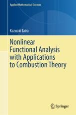 Nonlinear Functional Analysis with Applications to Combustion Theory | SpringerLink