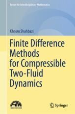 Finite Difference Methods for Compressible Two-Fluid Dynamics | SpringerLink