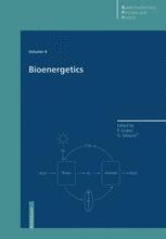 Bioenergetics | SpringerLink