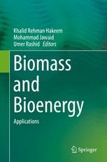 Biomass and Bioenergy: Applications | SpringerLink