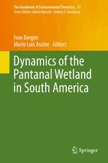 Dynamics of the Pantanal Wetland in South America | SpringerLink