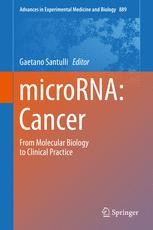 microRNA: Cancer: From Molecular Biology to Clinical Practice ...