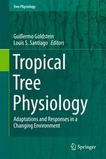 Tropical Tree Physiology: Adaptations and Responses in a Changing ...