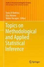 Topics on Methodological and Applied Statistical Inference | SpringerLink