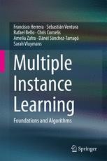 Multiple Instance Learning: Foundations and Algorithms | SpringerLink