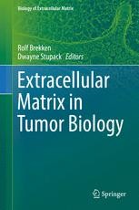 Extracellular Matrix in Tumor Biology | SpringerLink