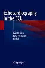Echocardiography in the CCU | SpringerLink