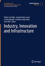 Industry, Innovation and Infrastructure | SpringerLink
