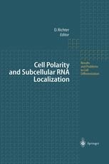 Cell Polarity and Subcellular RNA Localization | SpringerLink